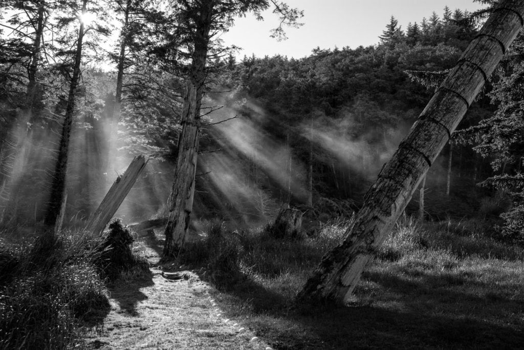 7 Things You Probably Didn't Know About Haida Gwaii