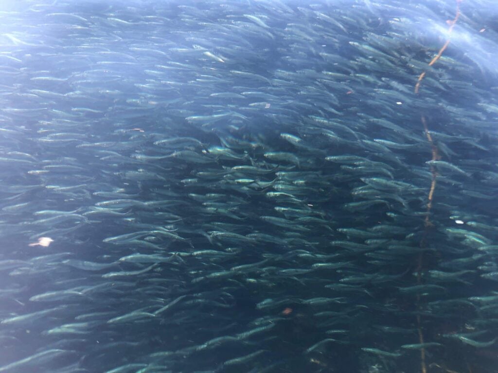 Home - Outer Shores Expeditions